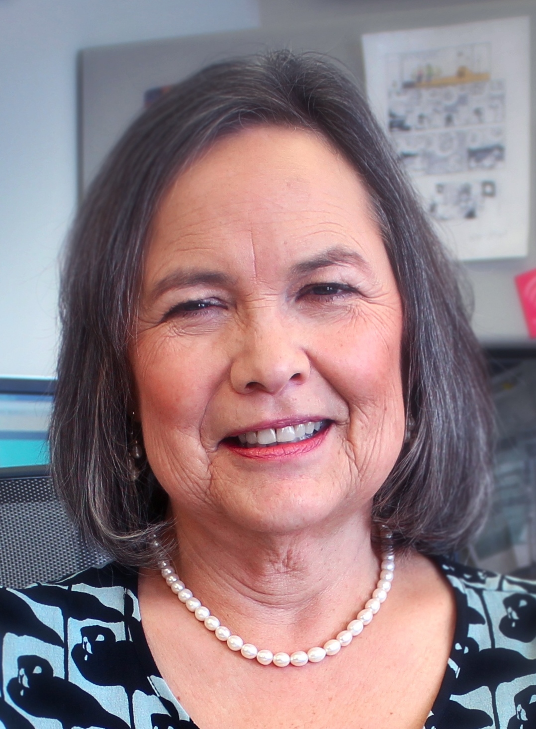 Shirley Sneve, Vision Maker Media » NAS